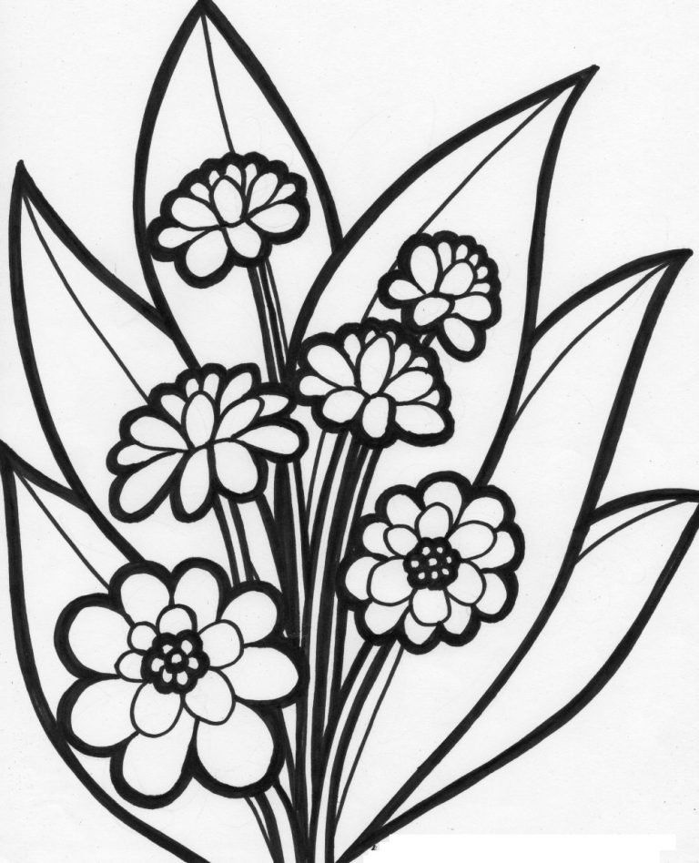Imagens de plantas para imprimir e colorir - Educação Online