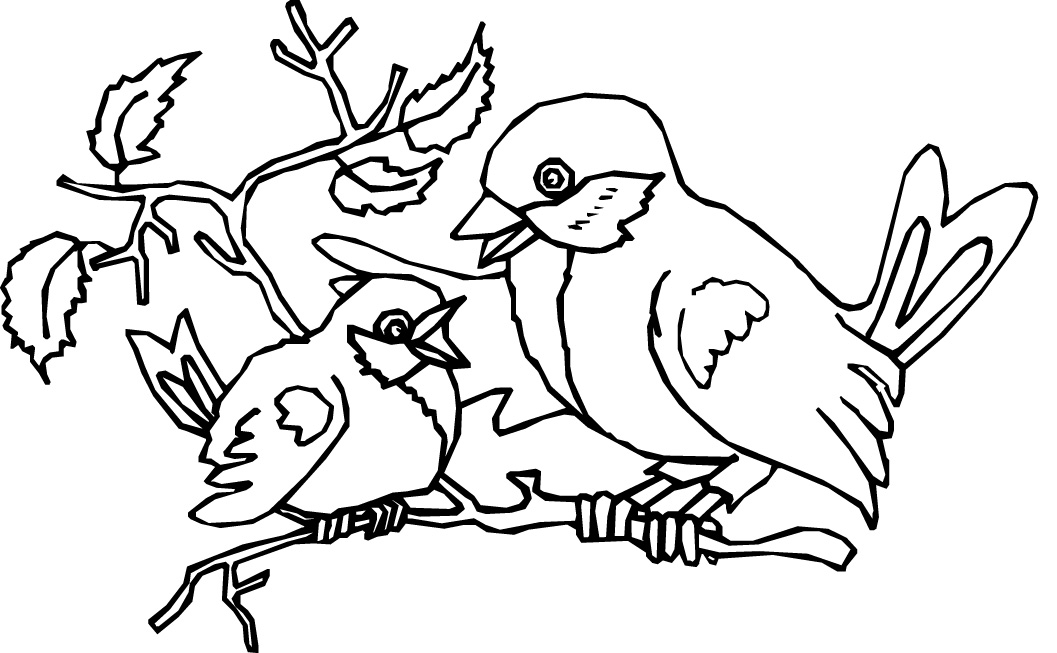 Imagens de aves e pássaros para imprimir e colorir - Educação Online